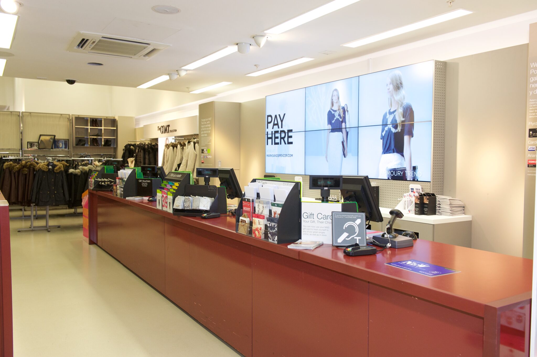 Our Experience – Alcema