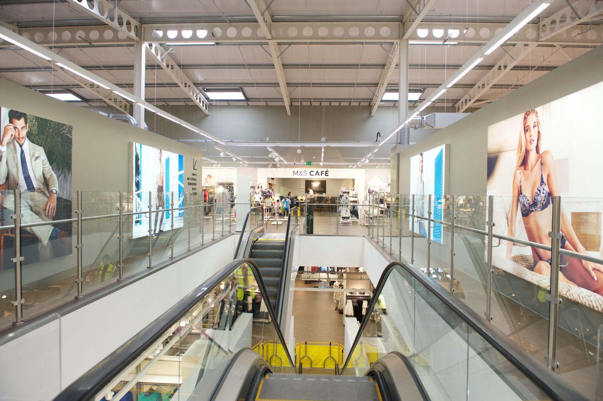 Our Experience – Alcema