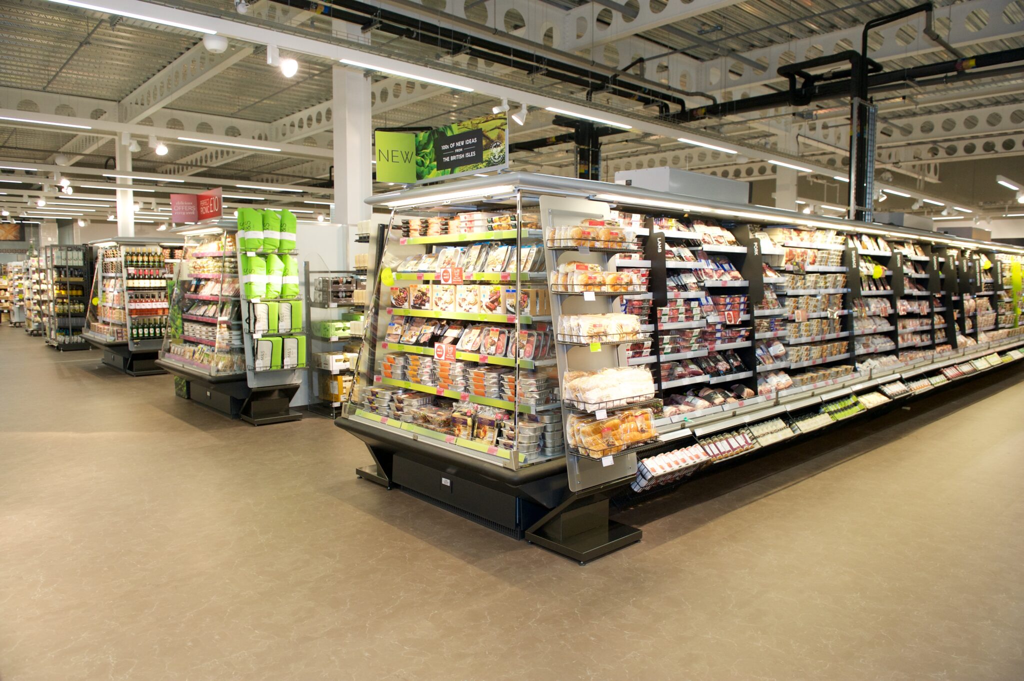 Our Experience – Alcema