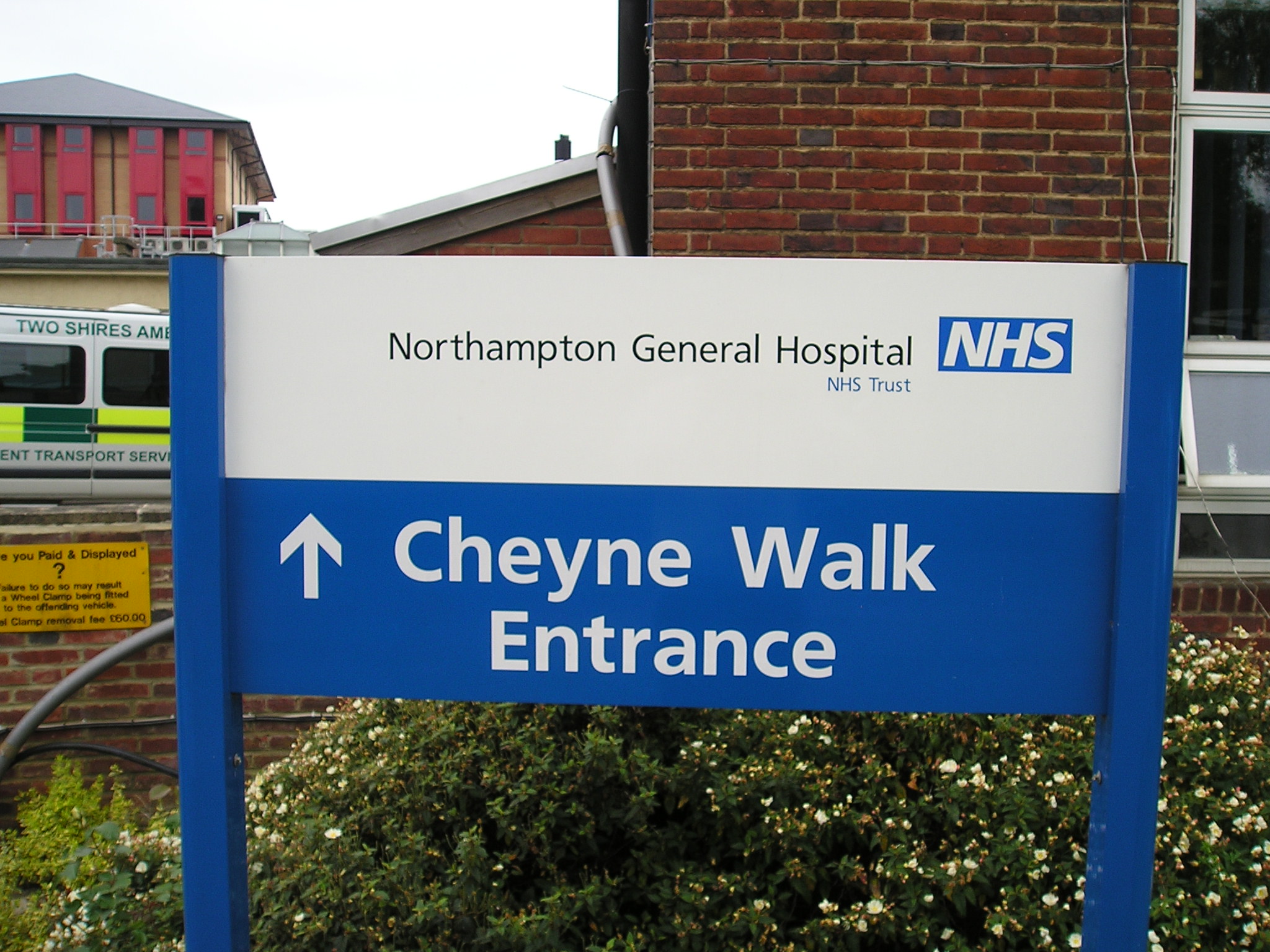 Our Experience – Alcema