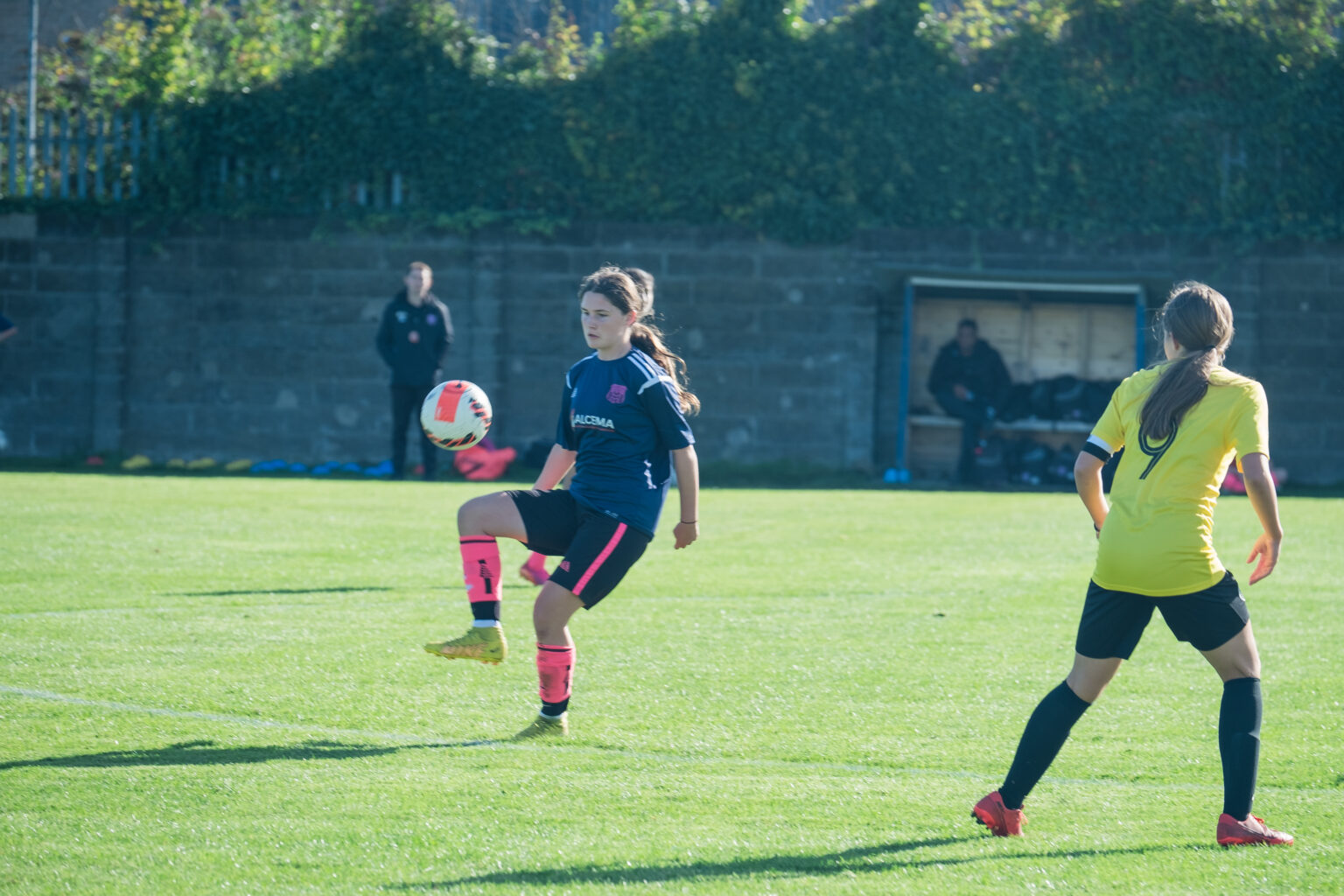 Haringey Girls Academy – Sponsorship – Alcema